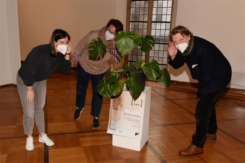 Zimmerpflanzen für Kunst-Aktion im Farb gesucht