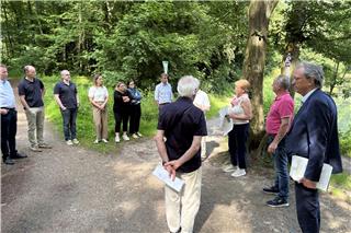 Gemeinde Raesfeld darf Biotop im Tiergarten freischneiden